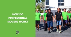 How Do Professional Movers Work? | Mac Pack Moving, Dubai